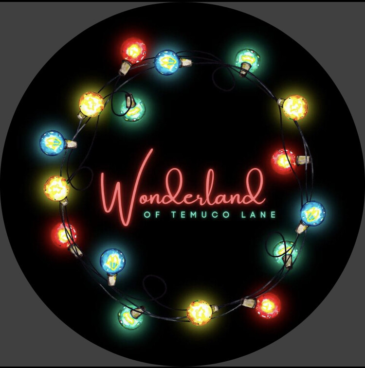 Yager's Crazy Christmas Light Show - Christmas Light Guide